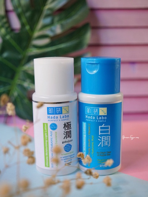 Journey To A Happier Healthier Me: Hada Labo Shirojyun Ultimate ...