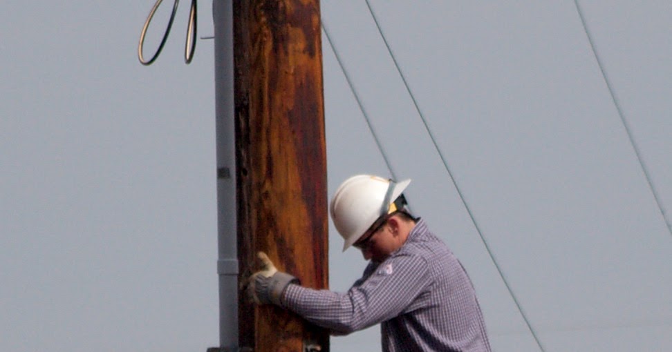 Green Jouleus: Why Utilities have Avoided Disruption Thus Far – Reliability