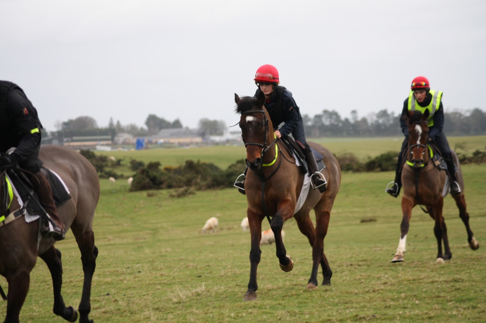 The Daily Life of a Trainee Jockey at RACE: Meet The Trainees - Nicole ...