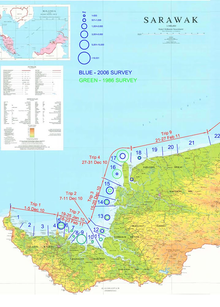Birdwatching In Miri, Sarawak: Sarawak Waterbird Survey in Mukah 25th ...
