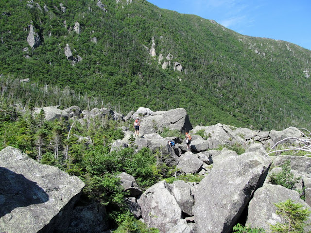 Ramblings: Seeking an Alternate Peak - Mt Adams via King Ravine