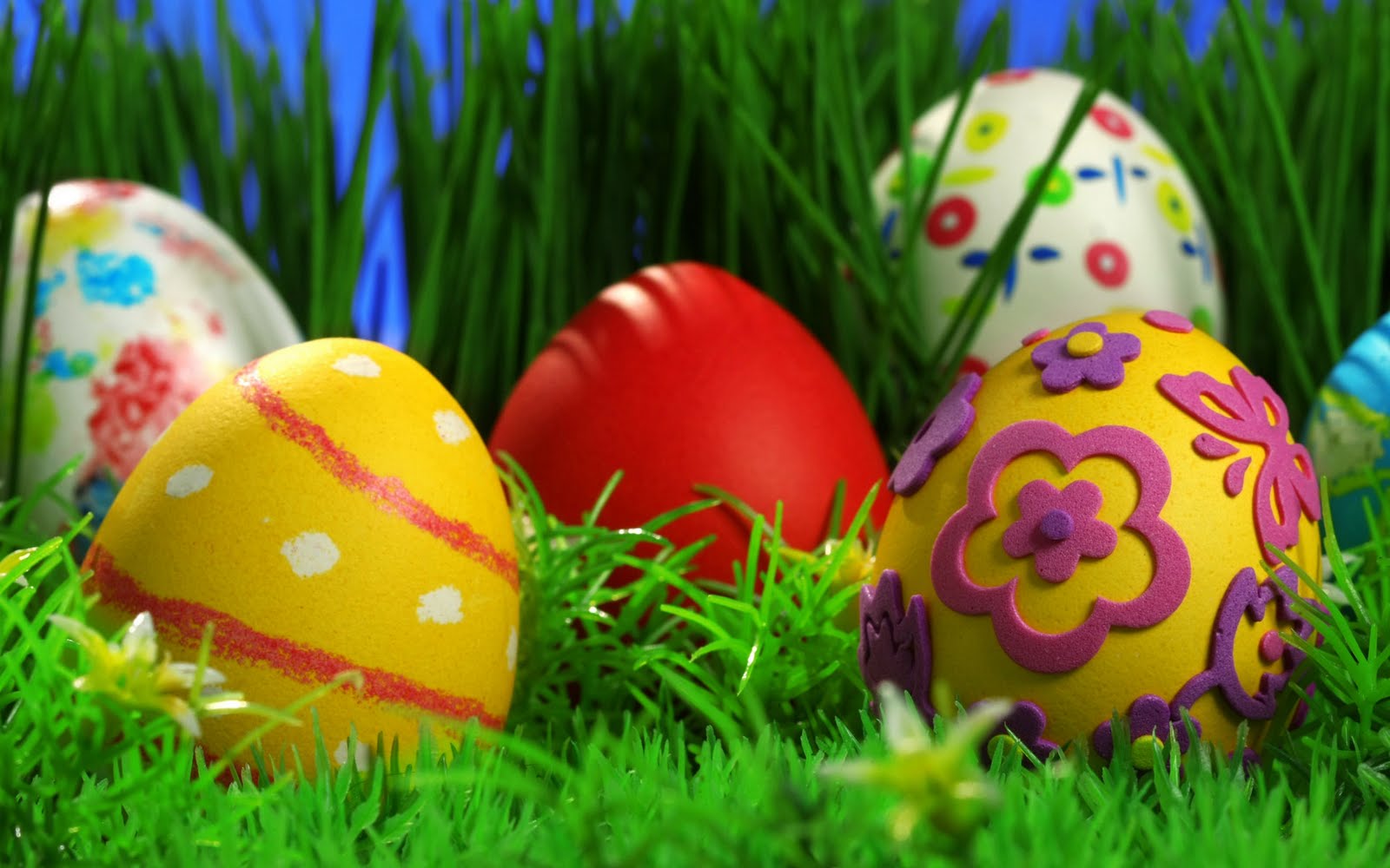 Banco de Imagenes Gratuitas: Huevos de pascua - Easter Eggs - Wallpapers