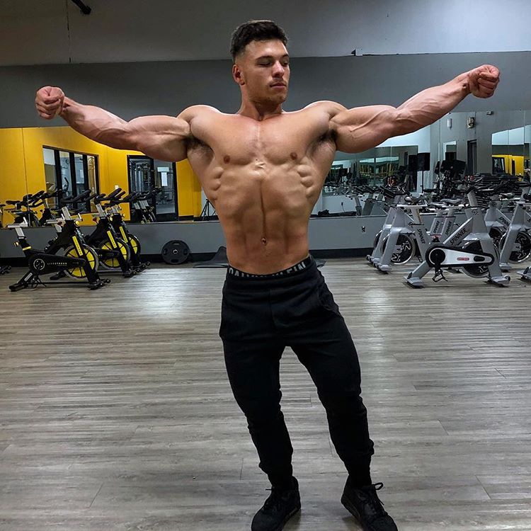 the beauty of male muscle: Alex
