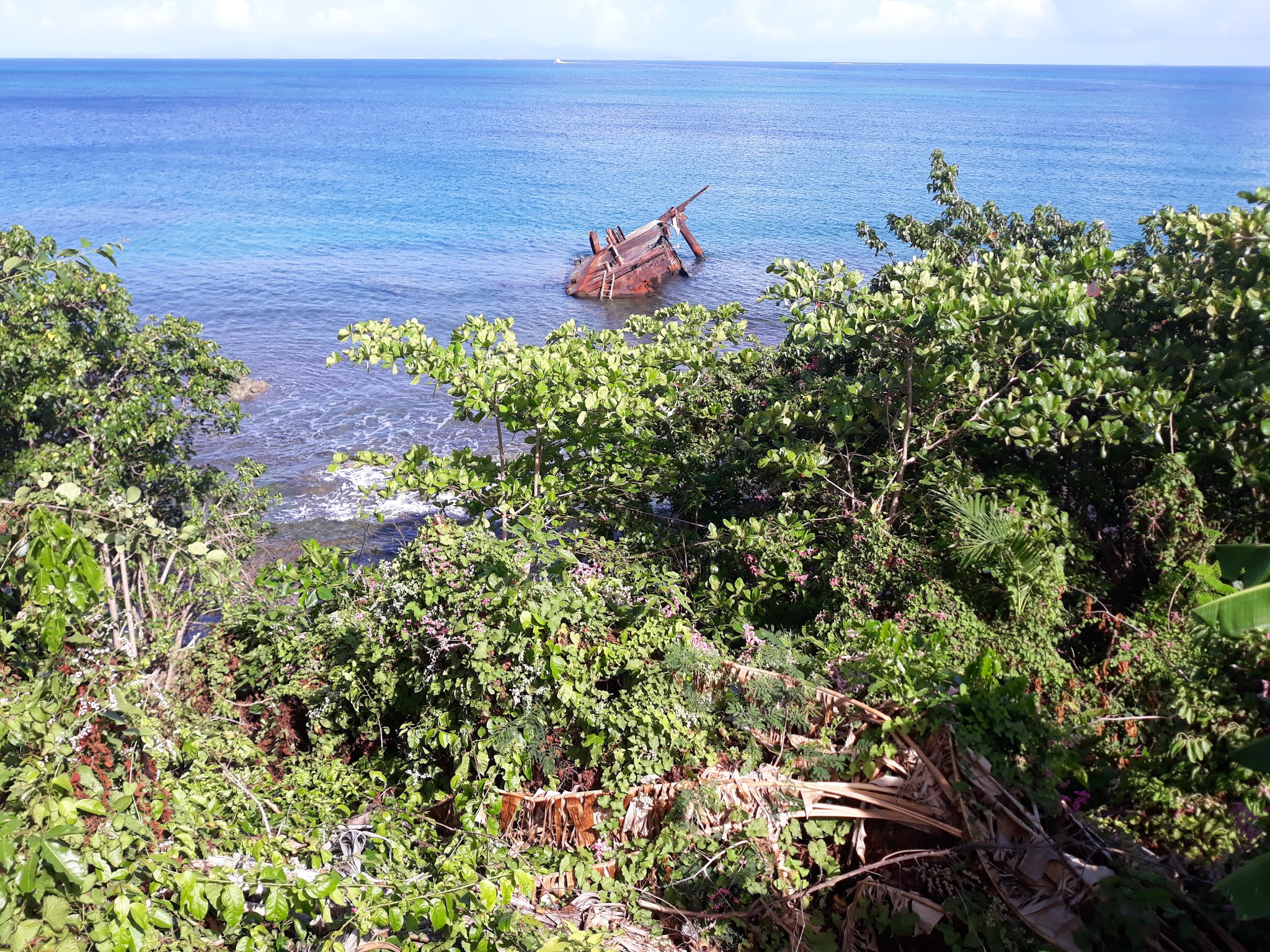 Observations of the Practical Kind: Isla de Vieques