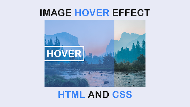 Image Hover Effect - Slide in Overley From the bottom - DoctorCode