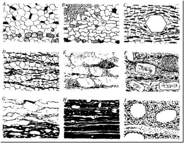 GEOLOGI : BATUAN METAMORF