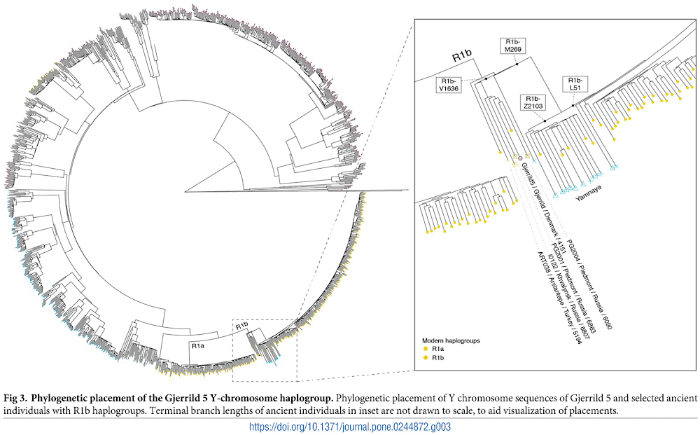 Eurogenes Blog: A tantalizing link