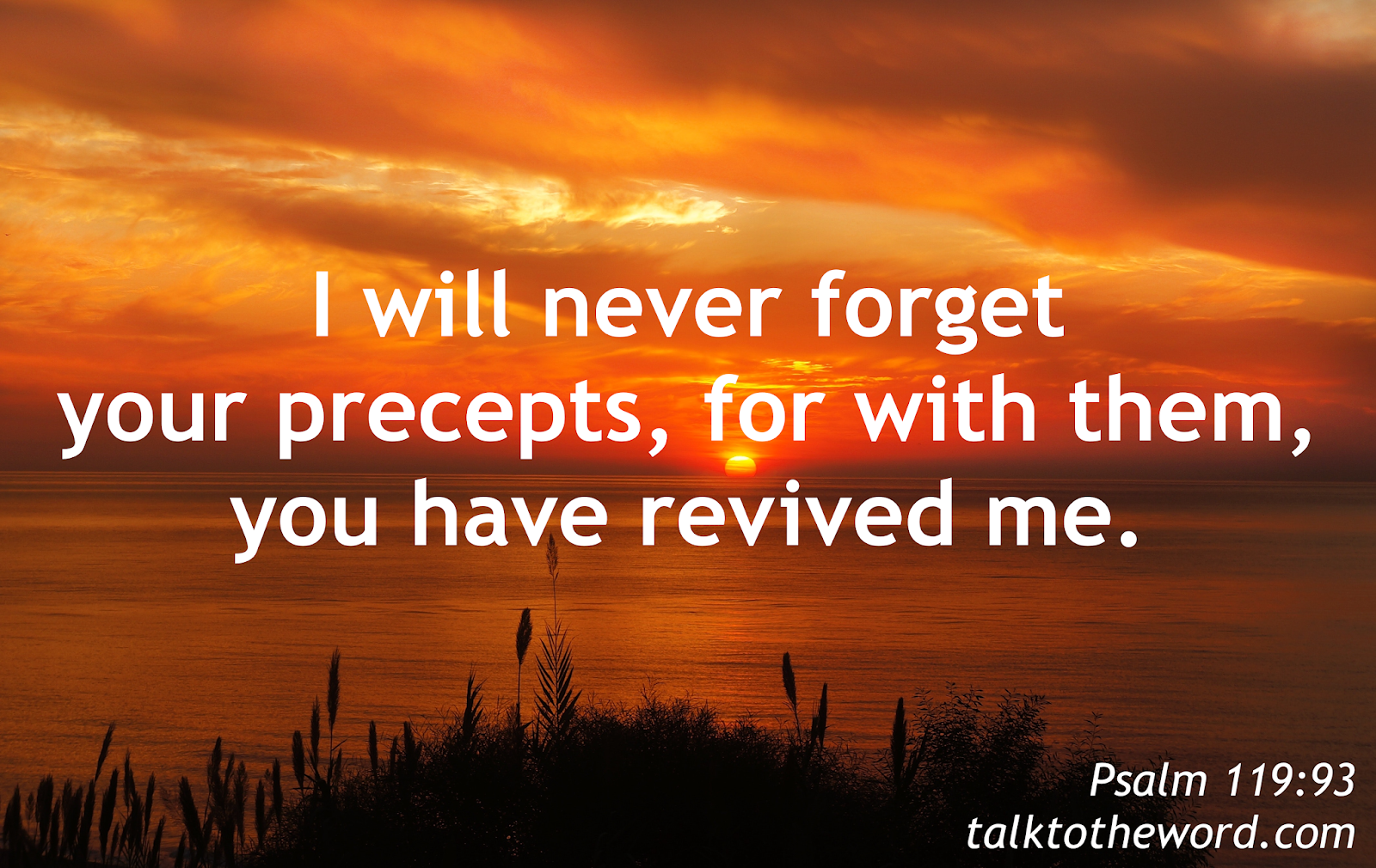 Psalm 119 93
