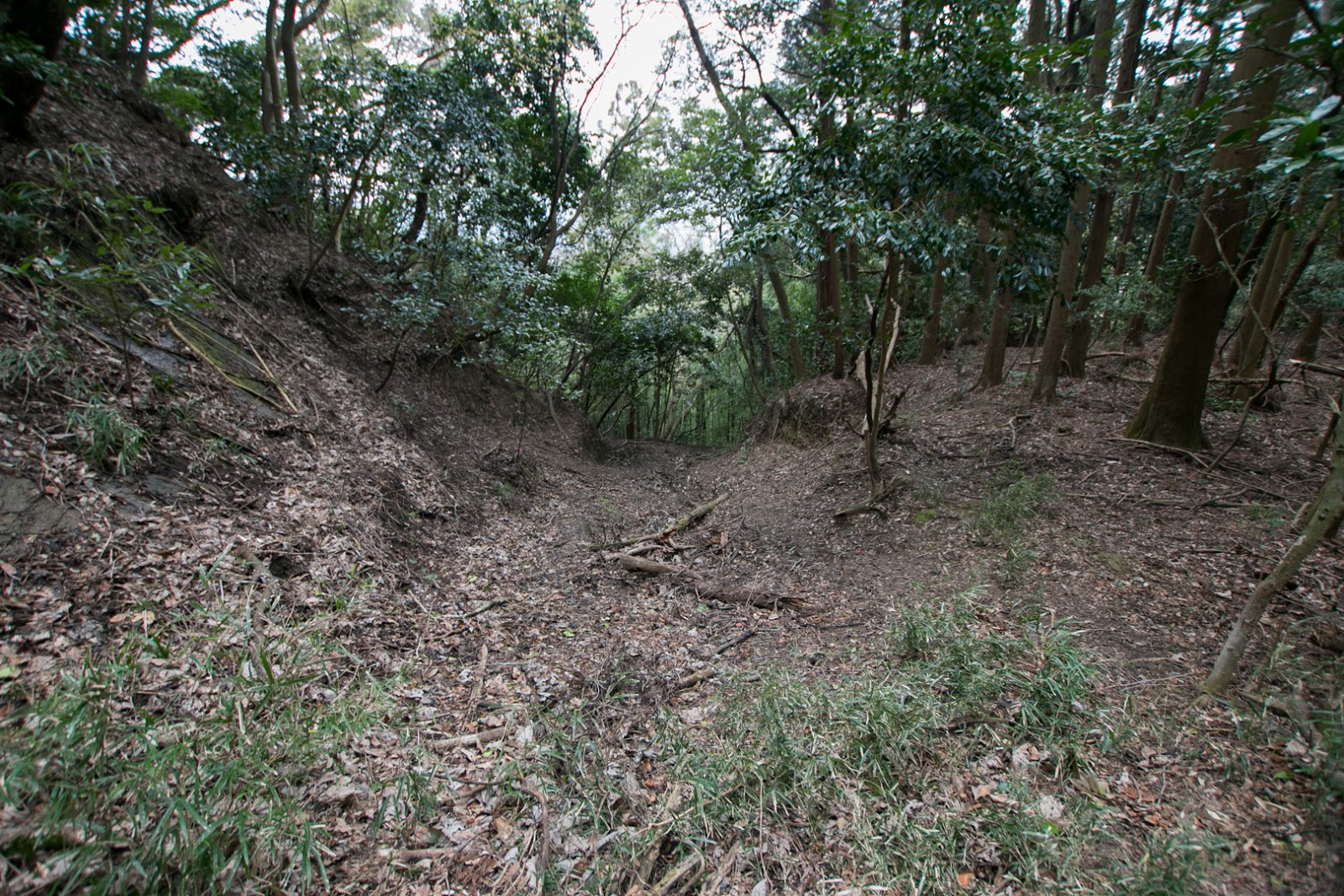 Kururi Castle -History of peninsular brave (7) seesaw game- | Japan Castle Explorer