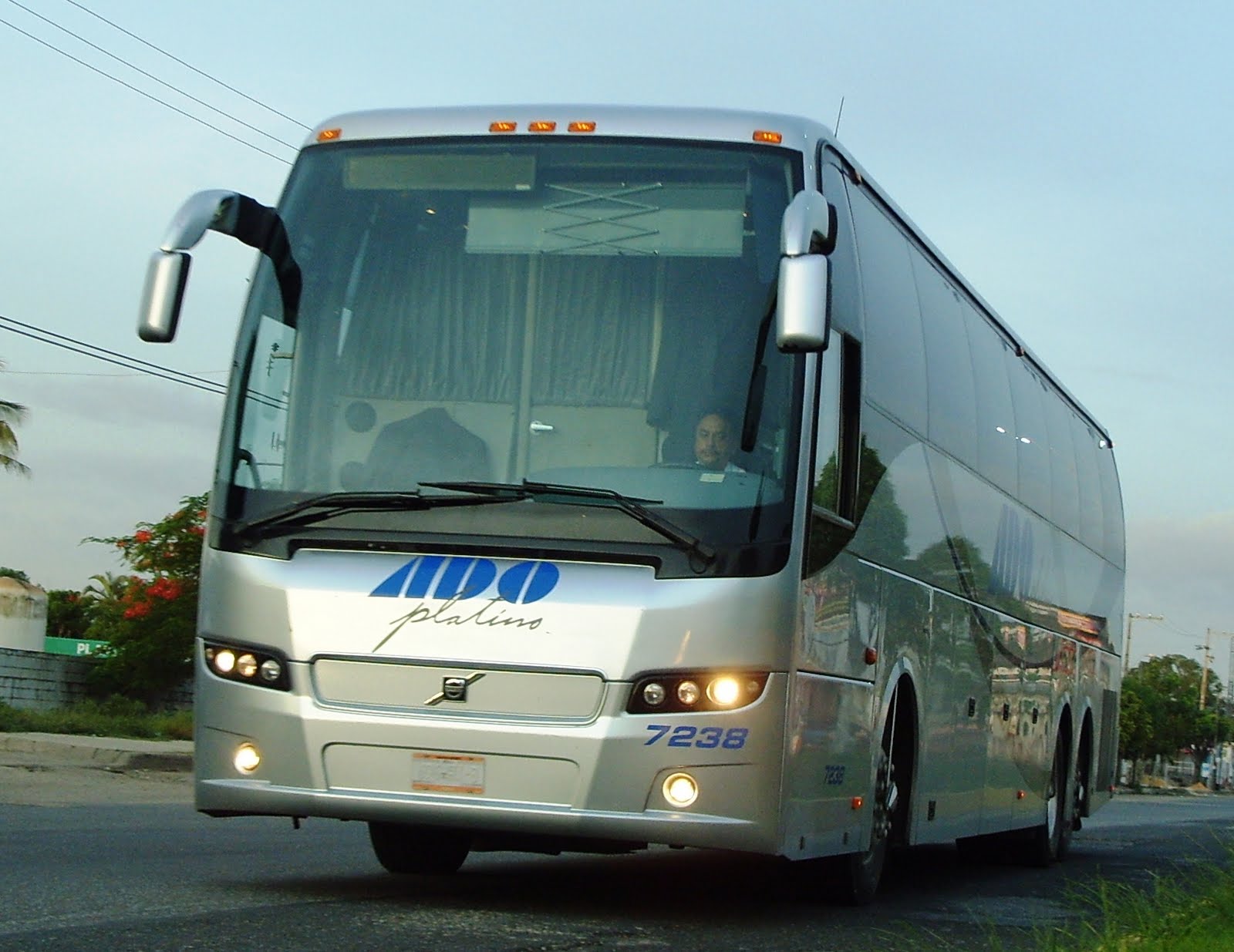 RENOBUSES COMPANY: ADO PLATINO, ADO GL Y ADO