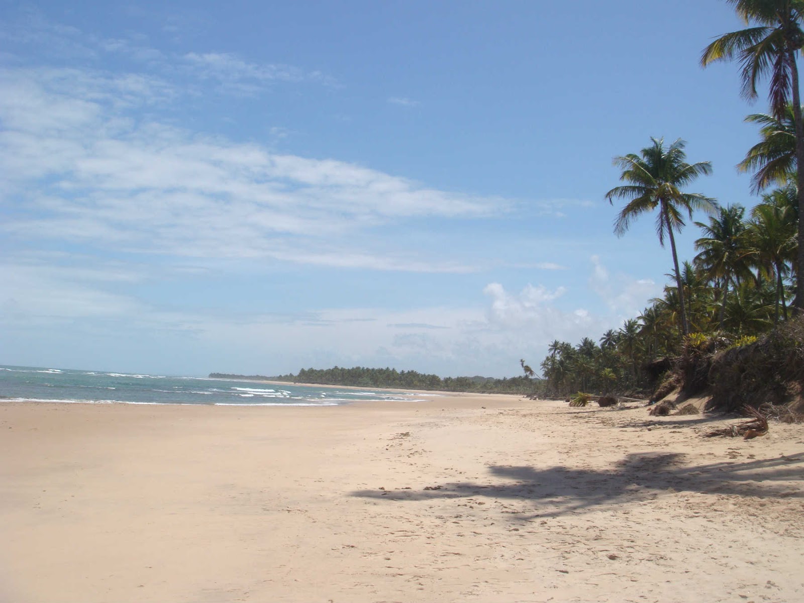 Dicas de viagem para Barra Grande - Bahia - Renata Viaja...