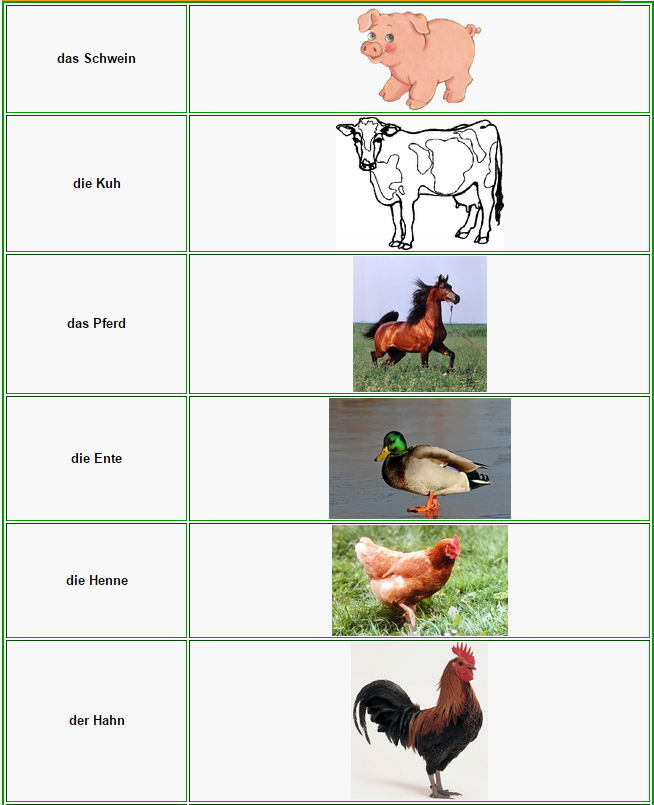 German Vocabulary - Animals « L E A R N G E R M A N