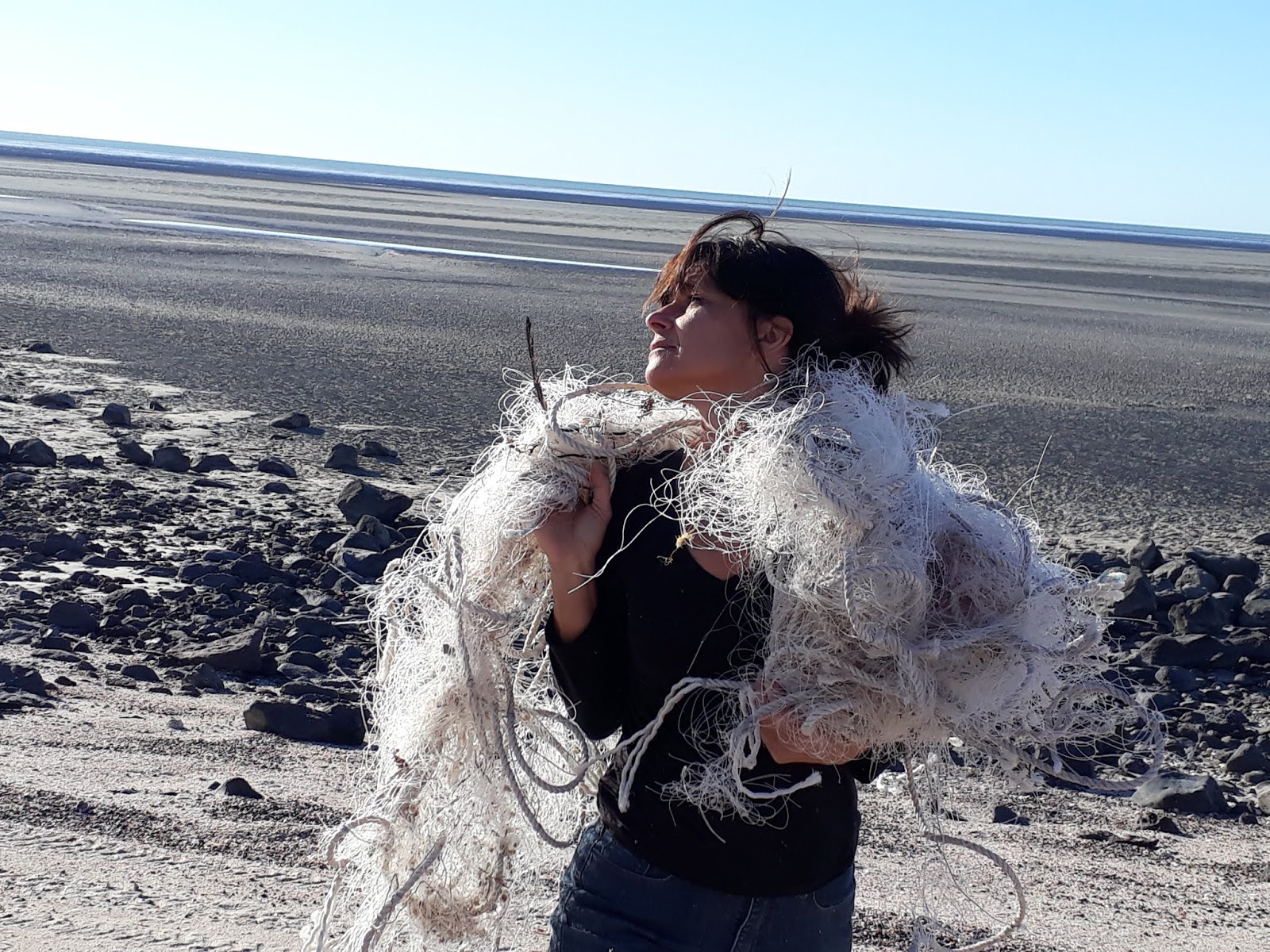 SeaShell Museum: SeaShell Museum Story