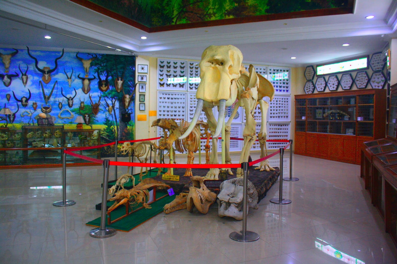 Rahmat International Wildlife Museum & Gallery - Travelicious