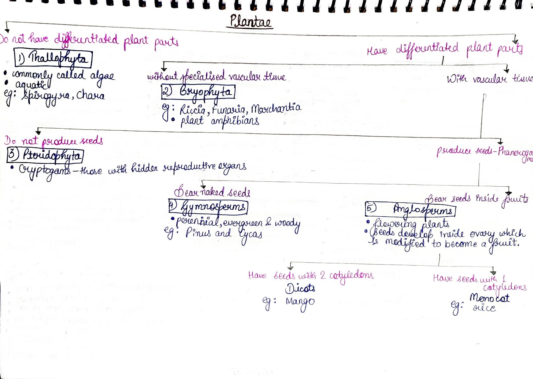 class 9 diversity in living organisms mind map