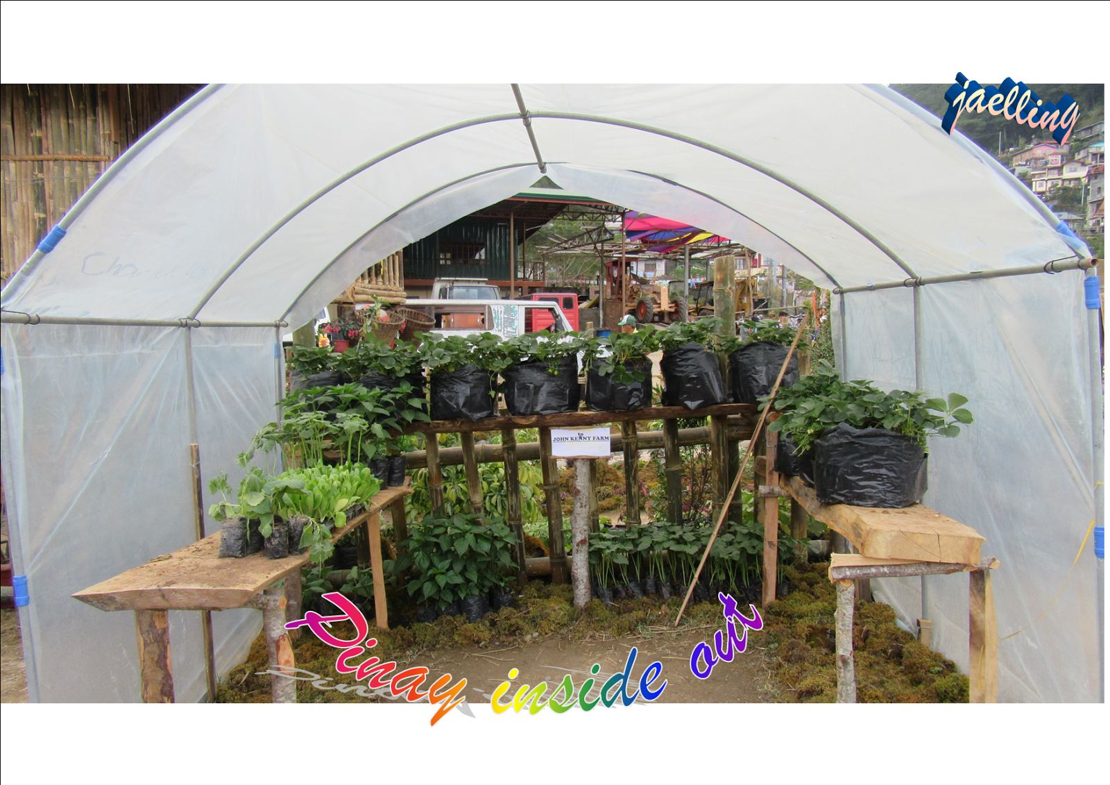 Booth of Mankayan, Benguet - Adivay 2015