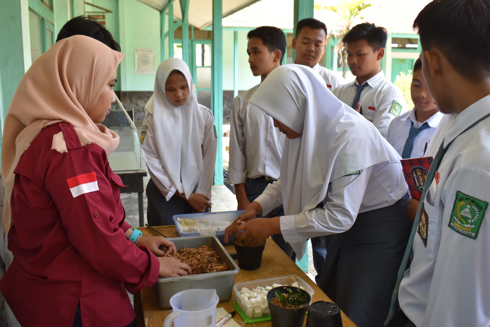 HIMUBIN UNIVERSITAS WINAYAMUKTI: PELATIHAN SMK PP NEGERI SUMEDANG