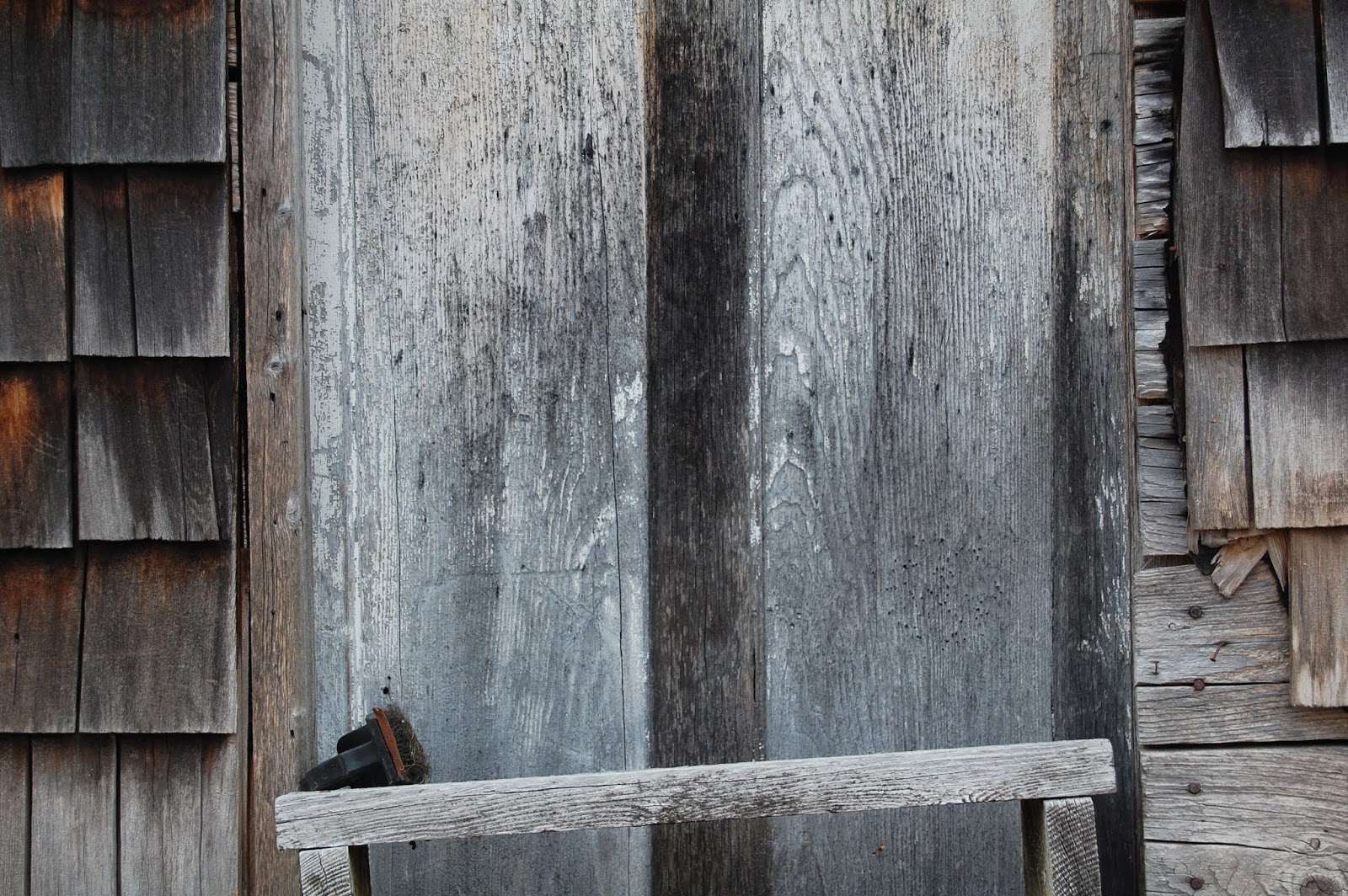 enhabiten: indigo calico