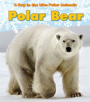 Non Fiction Bear Books