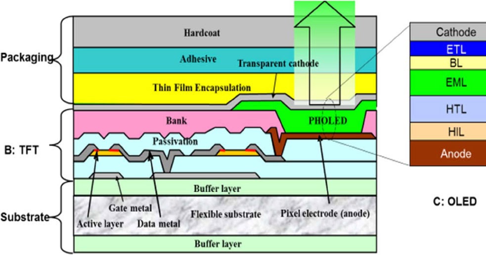 OLED display: Mobile and TV OLED display, What are the differences?