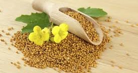 De todo un poco en la cocina: Mostaza