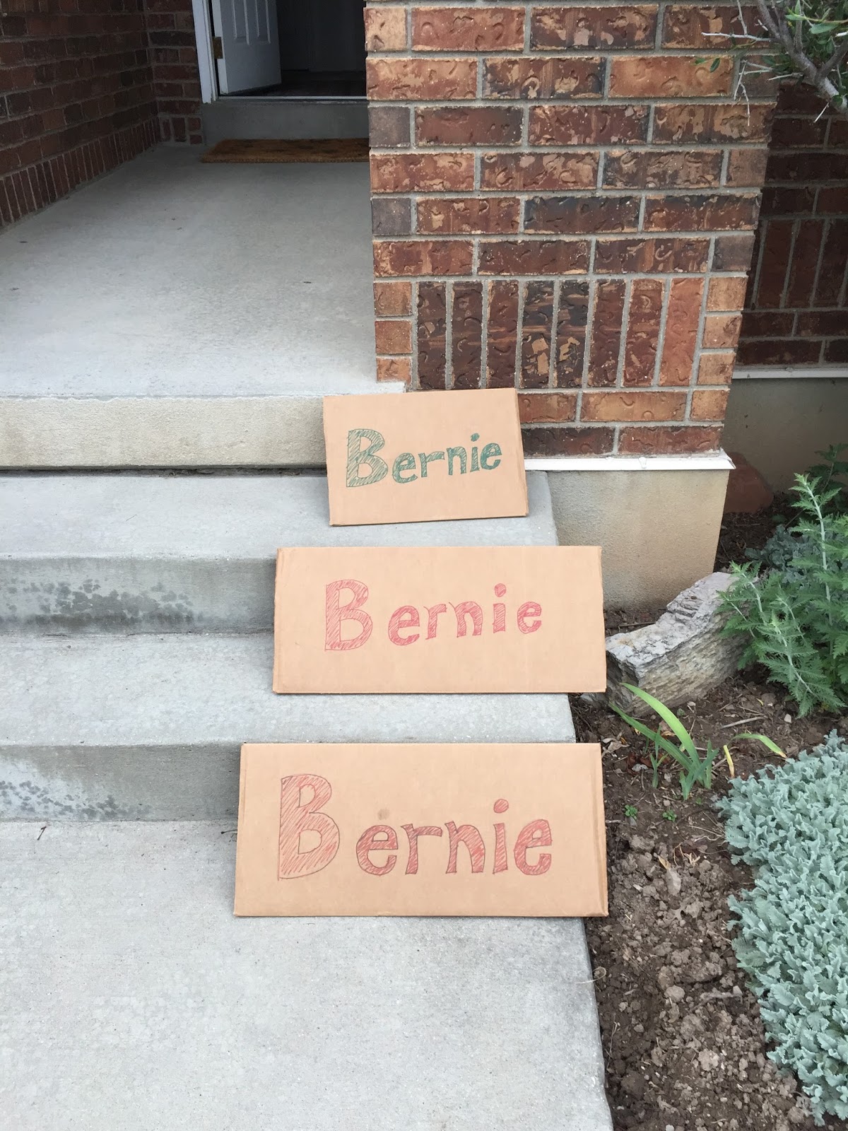 Beit Emmett: Bernie Sign Bandits