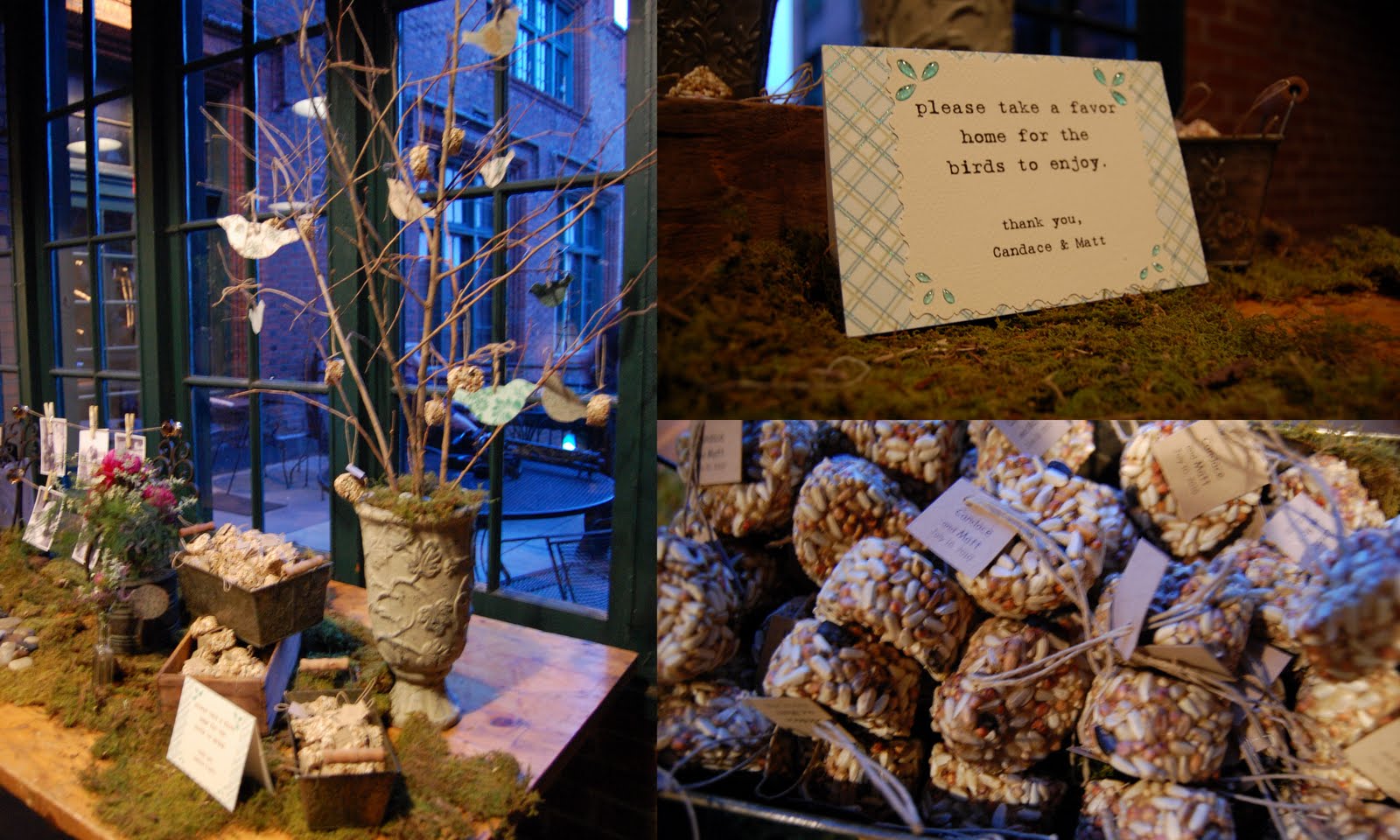 Mesa Blue Bird Seed Wedding Favors mesa-blue-bird-seed-wedding-favors