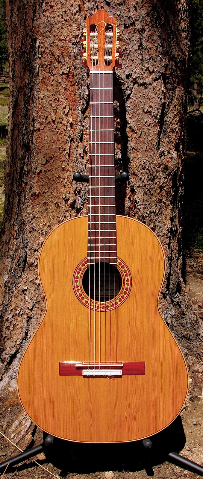 Hernandez y Aguado Style Guitar - Douglas Fir Top, Mahogany Back and Sides