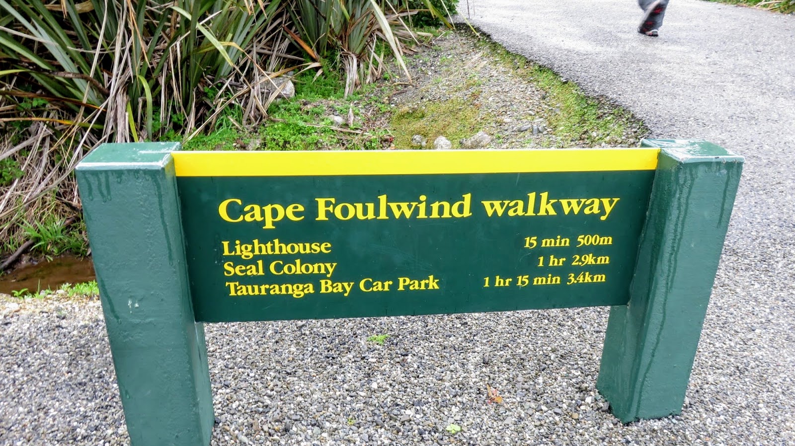 Tramping in the New Zealand backcountry: NZ Bush Adventures: Punakaiki ...