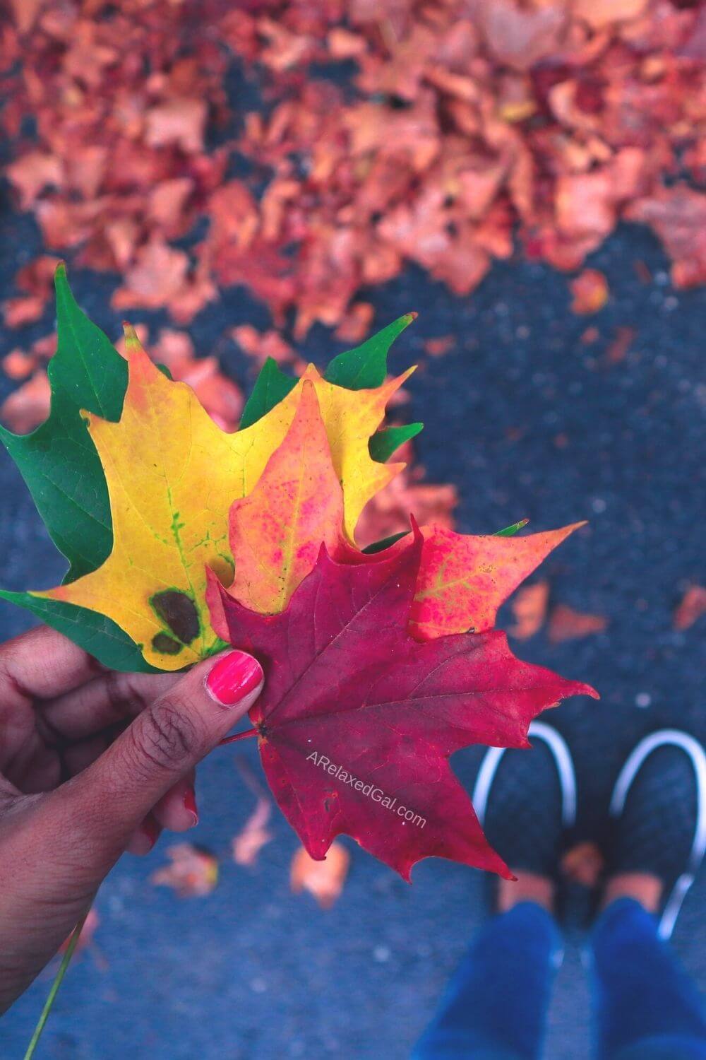 Autumn (or Fall) is finally here! | September Highlights & Faves | A ...