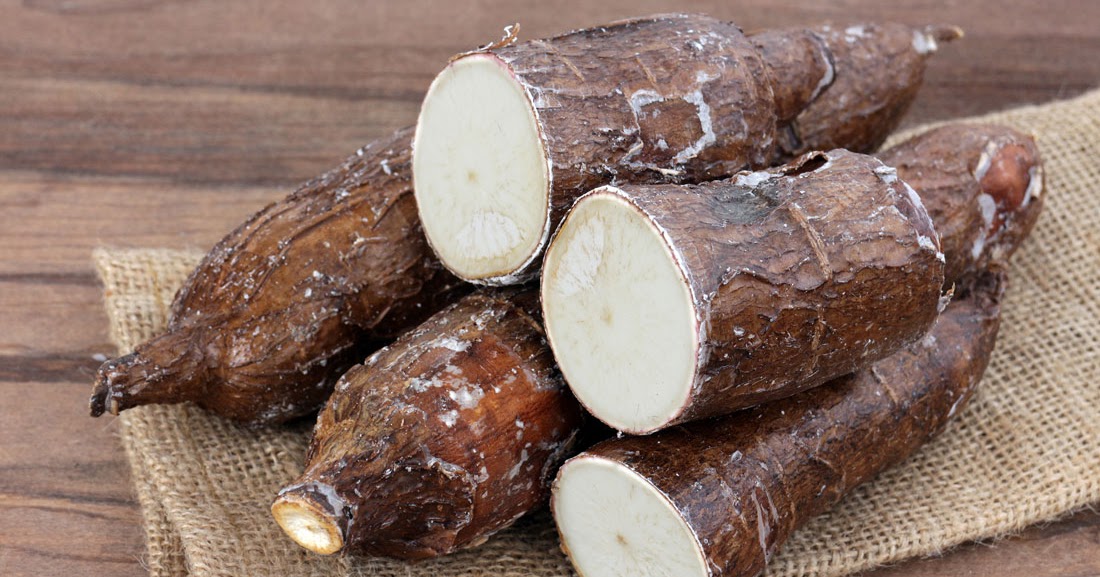 Kamoteng Kahoy As Herbal Medicine