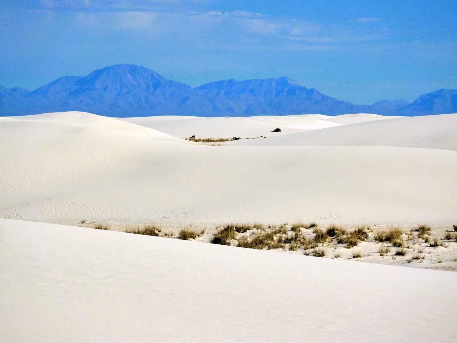 American Travel Journal: Morning along Dunes Drive - White Sands ...