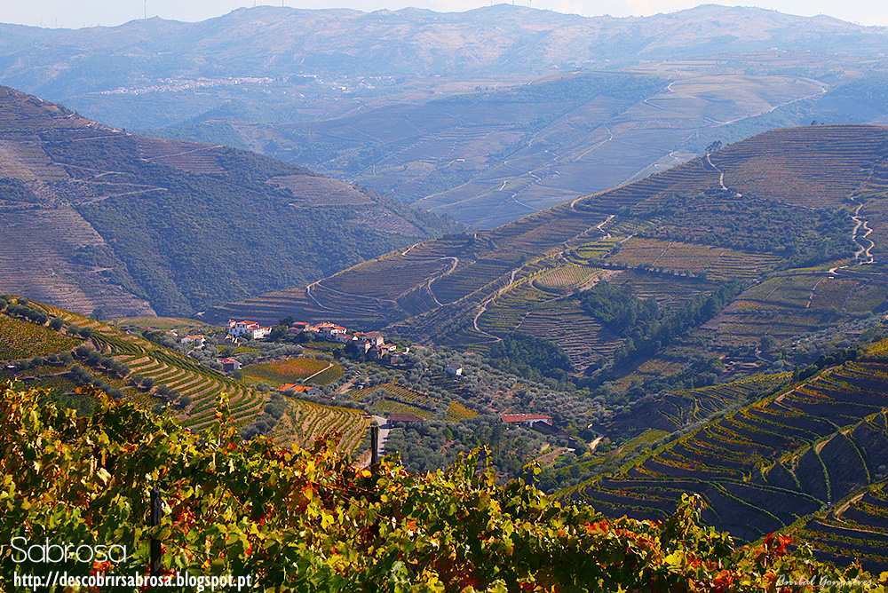 À Descoberta de Sabrosa: Descobrir Sabrosa
