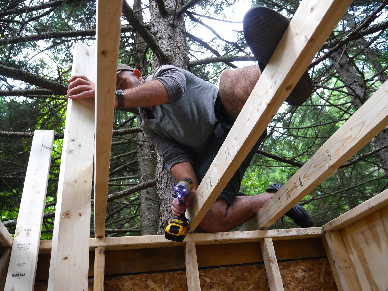 Relaxshacks.com: Massachusetts Man builds/designs 20' "ROBOT TREE HOUSE ...