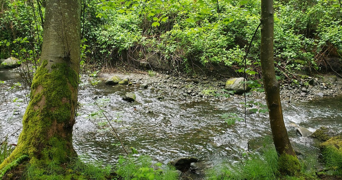 science 10 gladstone: Renfrew Ravine Park