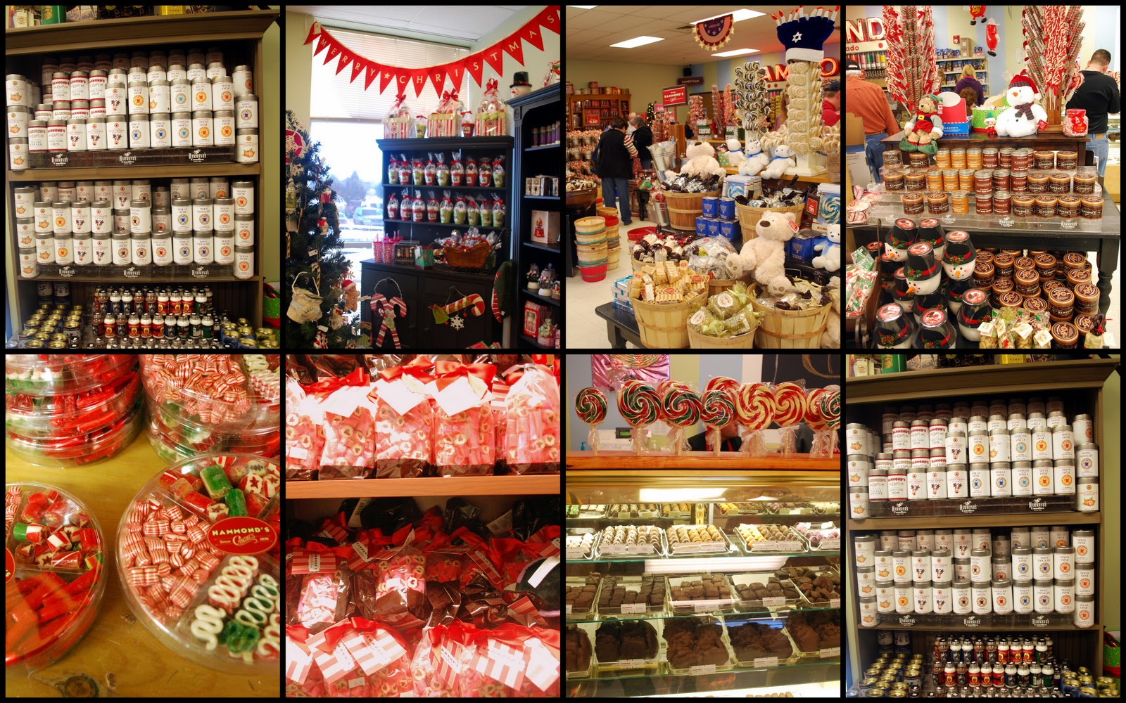 Mille Fiori Favoriti: The Hammond's Candy Factory