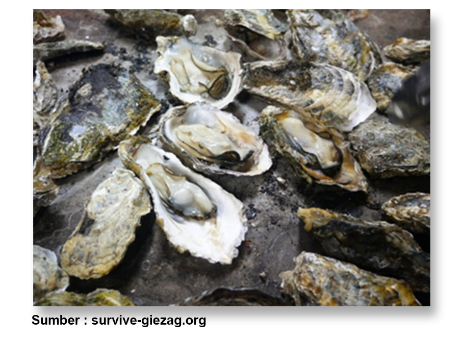 Penulisan Kreatif FIKOM UNPAD 2018