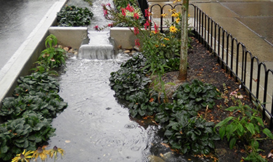 PA Environment Digest Blog: Penn State Extension Hosts 9-Part Green ...