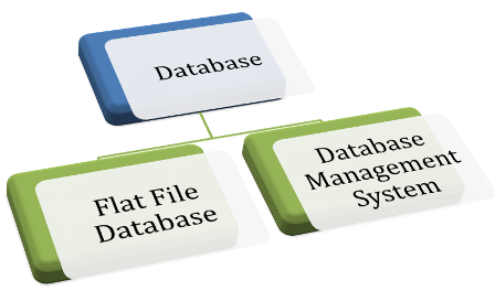 Class 10 IT | Chapter- Database Management System | Topic- What is ...