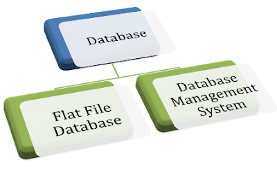 Class 10 IT | Chapter- Database Management System | Topic- What is ...
