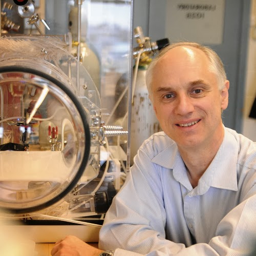 Synthetic Trees Replace The Function Of The Original Trees - For Fum ...