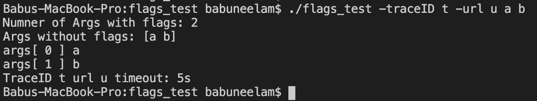 TechVolve: Building a Binary with arguments and options - flags package ...