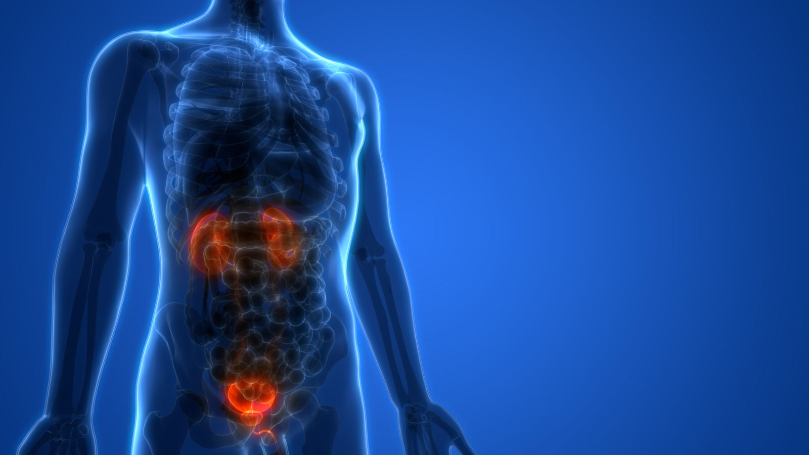 Sports et Santé: Signes précoces et tardives du cancer de la Vessie