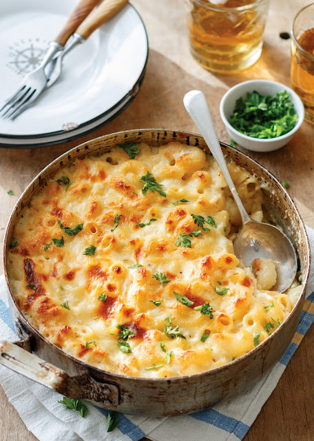 CHASING FOOD DREAMS: Mainland: Natural Cheese Made the New Zealand Way