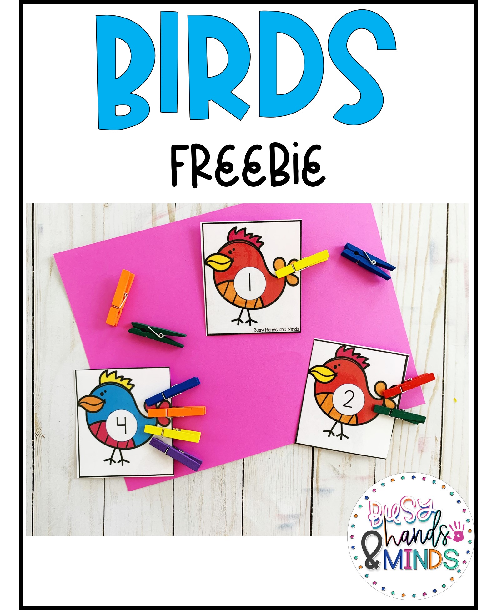 Birds Preschool Theme | Busy Hands and Minds