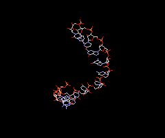 BIOLOGÍA MOLECULAR: ESTRUCTURA DEL ARN