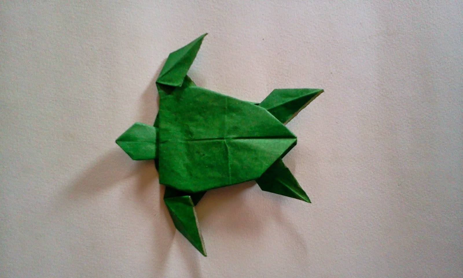make origami sea turtle ~ art and craft kids