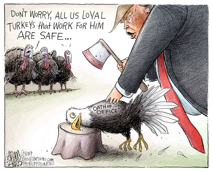 jobsanger: Turkeys Are Safe