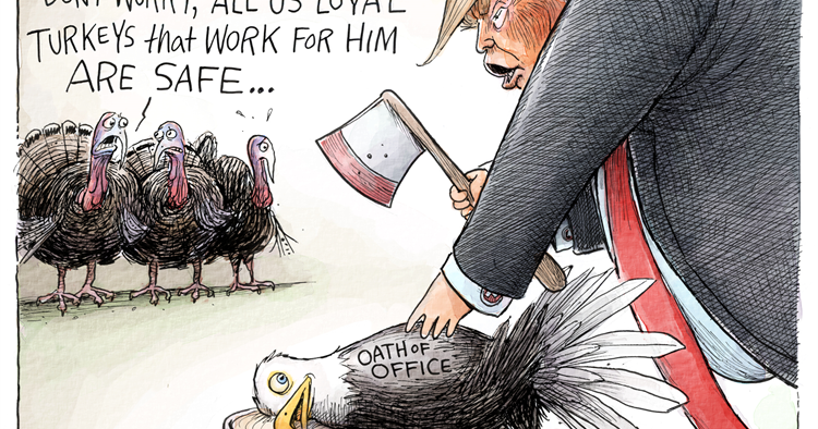 jobsanger: Turkeys Are Safe