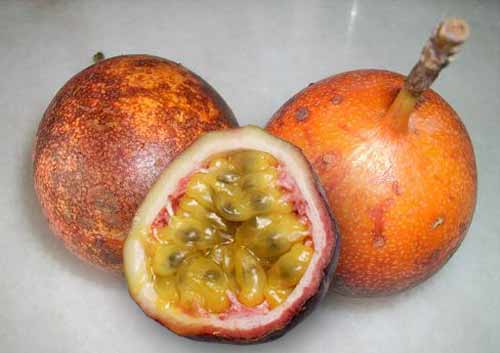 inikabarku.com - berita, gosip artis, informasi dan tips